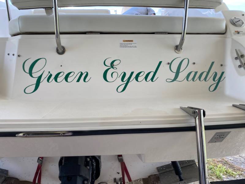 1997 Wellcraft Excel 26 Boat Lettering from Daniel M, TX ...